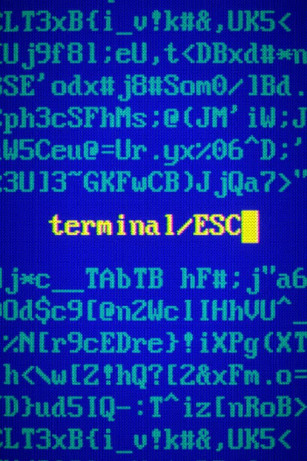 Terminal ESC